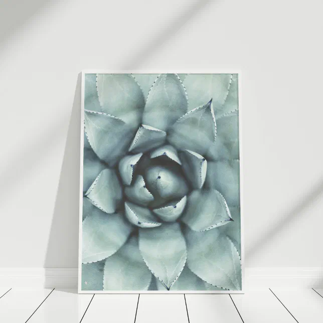 Boho Sage Green Succulent Closeup Poster | Zazzle