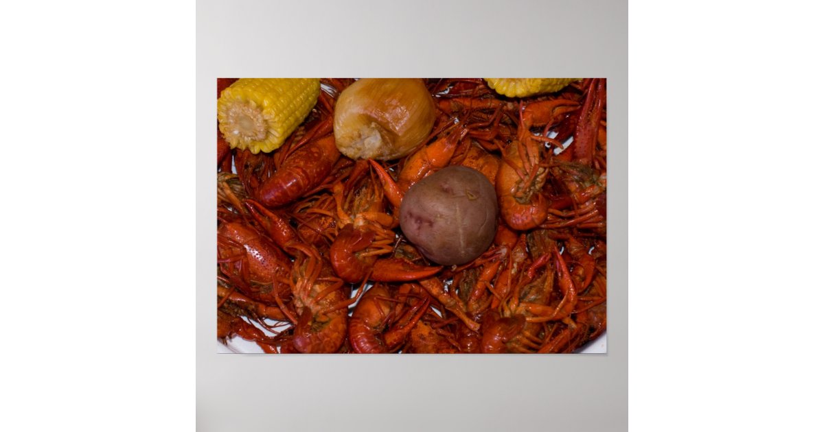 boiled crawfish poster | Zazzle