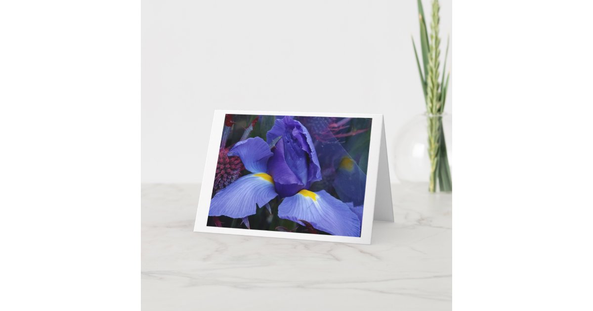 Bold Blue Iris Note Card Sets | Zazzle.com