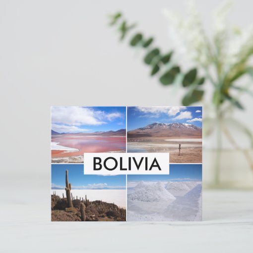 Bolivia Salar de Uyuni collage postcard | Zazzle