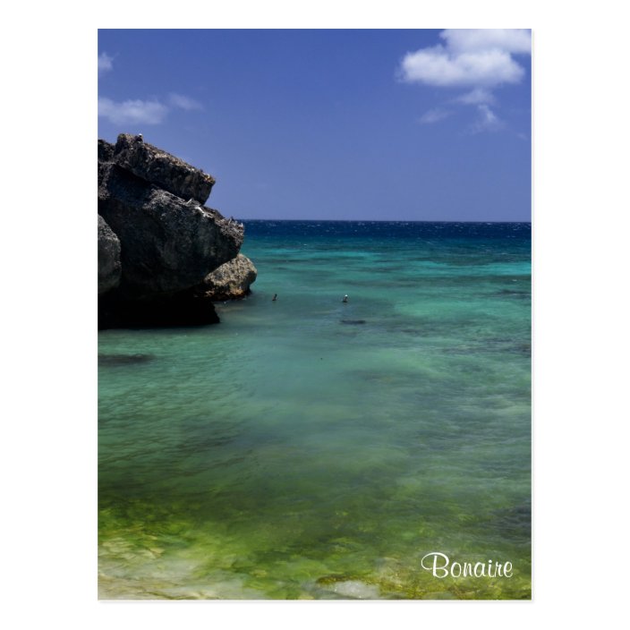 Bonaire Ocean Postcard | Zazzle.com