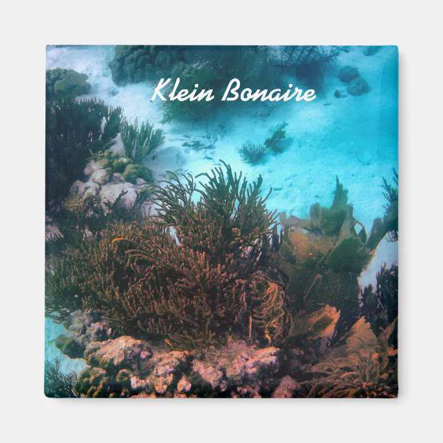 Bonairean Reef Magnet | Zazzle