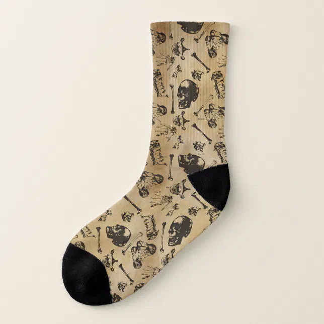 Bone Anatomy Archaeology Socks | Zazzle