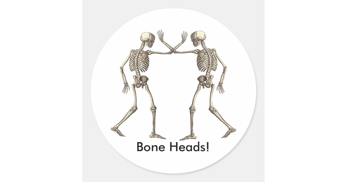 Bone Heads Skeletons Sticker | Zazzle