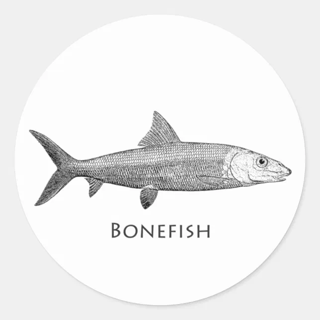 Bonefish Logo Classic Round Sticker | Zazzle