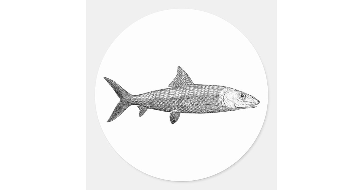 Bonefish Logo Classic Round Sticker | Zazzle