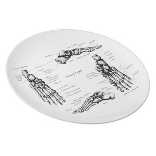 Bones of the Human Foot Dinner Plate | Zazzle