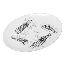 Bones of the Human Foot Dinner Plate | Zazzle