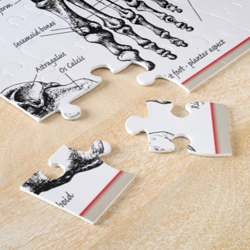 Bones of the Human Foot Jigsaw Puzzle | Zazzle