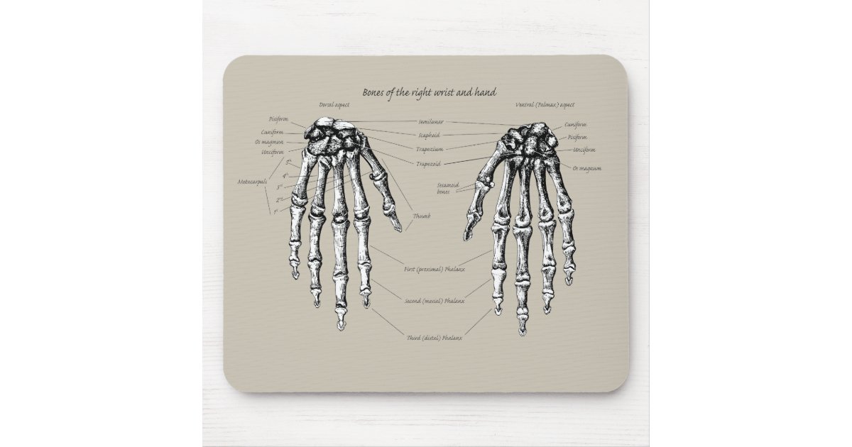 Bones of the human hand mouse pad | Zazzle