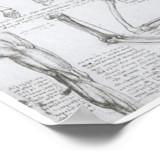 Bones of the Lower Extremity, Leonardo da Vinci Poster | Zazzle