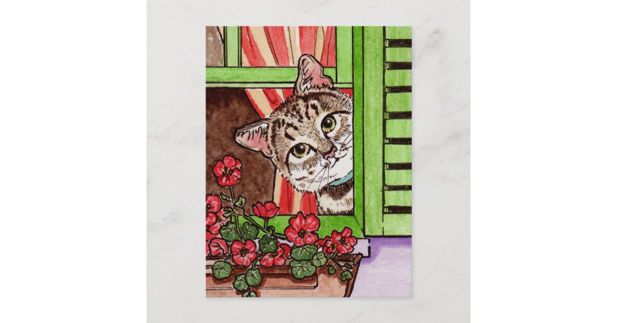 Bonjour cat postcard | Zazzle