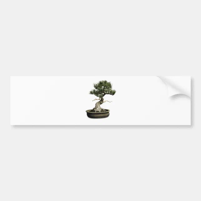 Bonsai Bumper Sticker | Zazzle