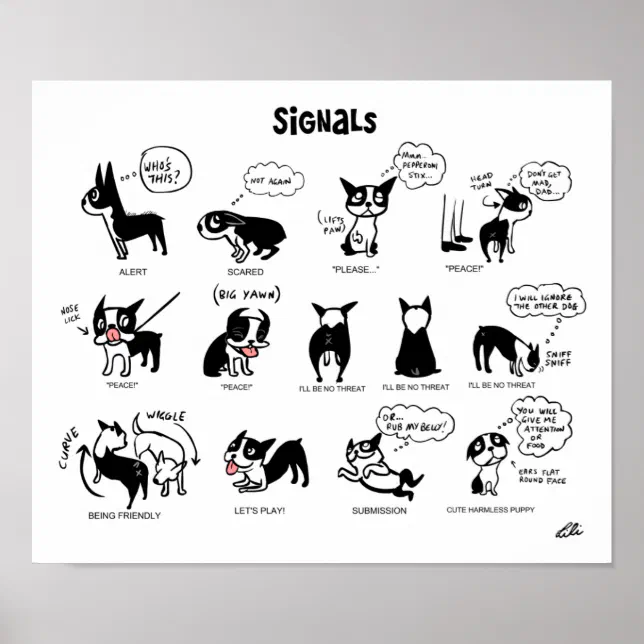 Boogie Signals by Lili Chin Poster | Zazzle