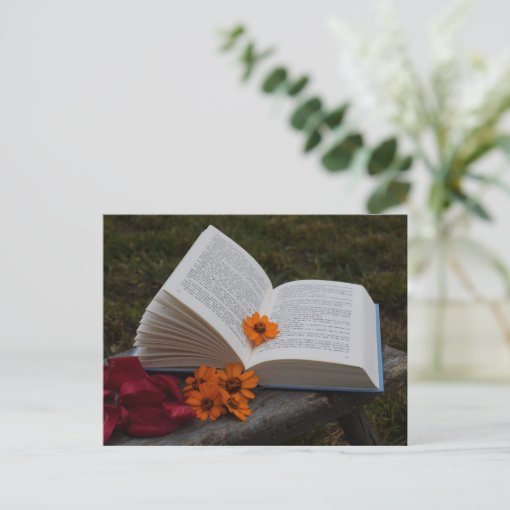 Book postcard | Zazzle