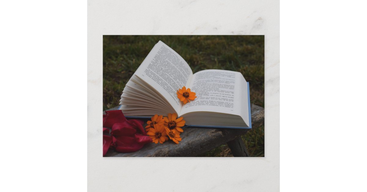 Book postcard | Zazzle