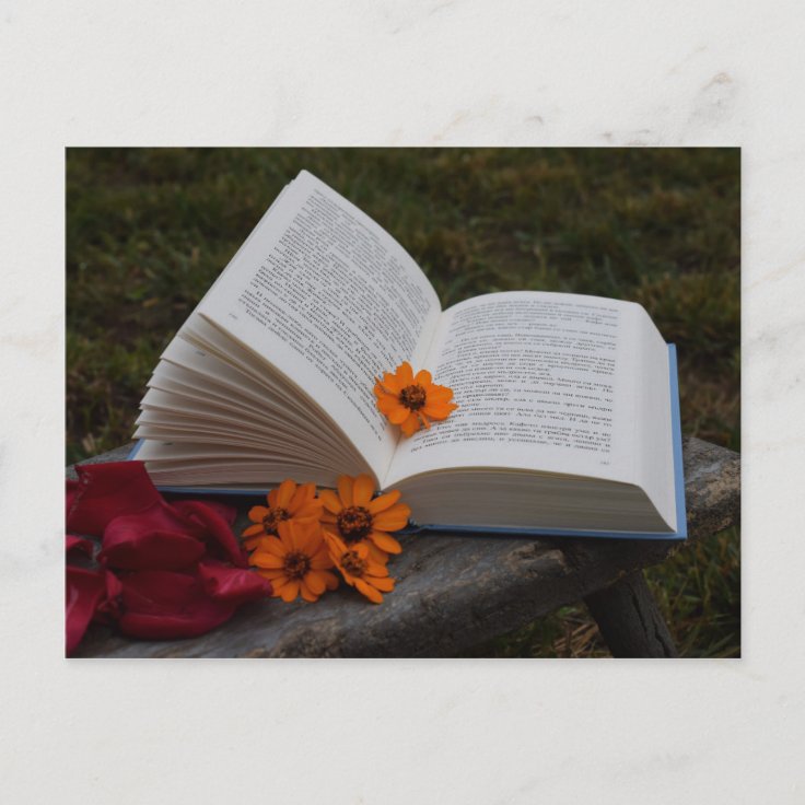 Book postcard | Zazzle