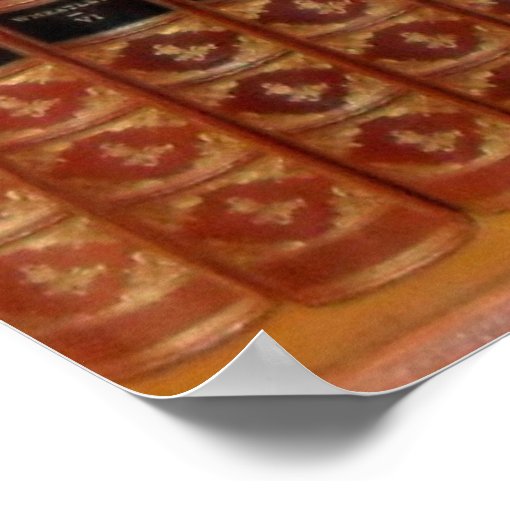 books library bookshelf bookshop poster | Zazzle