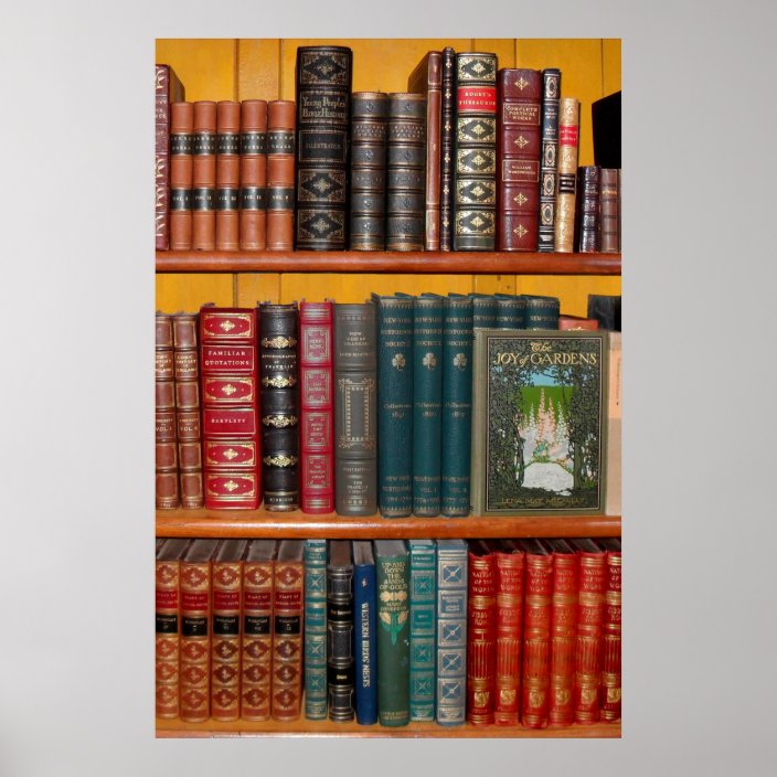 books library bookshelf bookshop poster | Zazzle.com