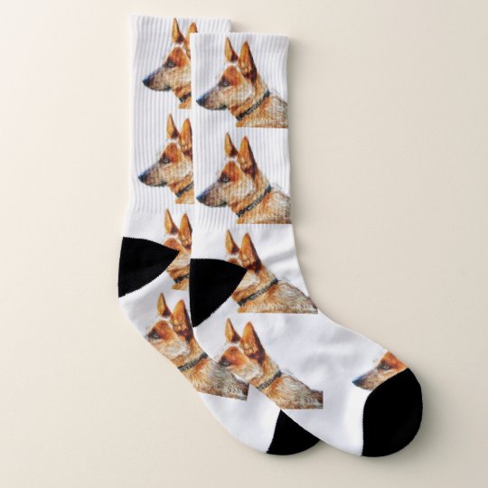 Boomer Red Heeler Unisex Socks | Zazzle.com