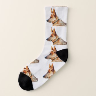 Boomer Red Heeler Unisex Socks | Zazzle