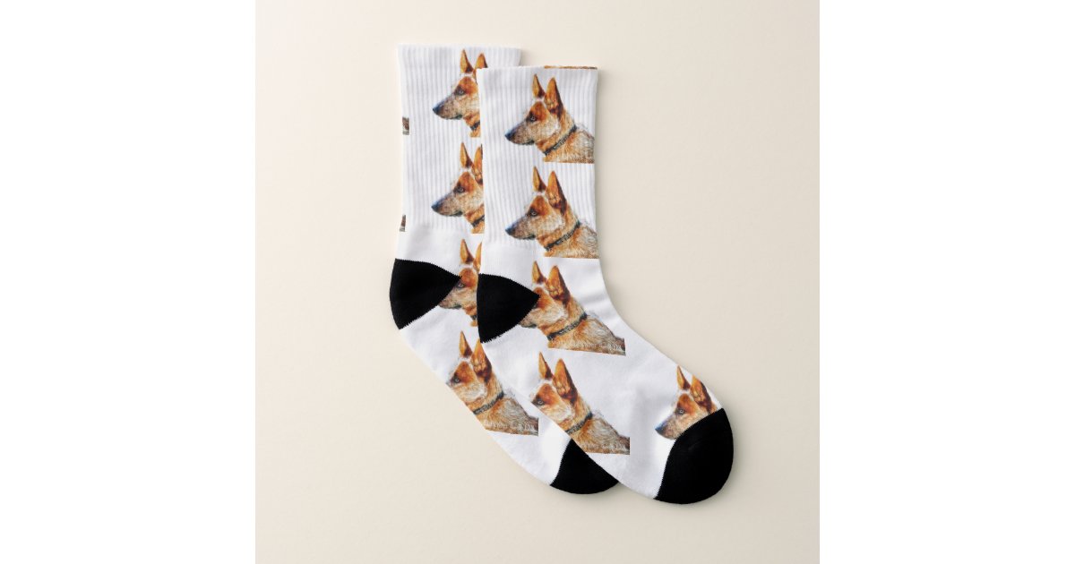 Boomer Red Heeler Unisex Socks | Zazzle