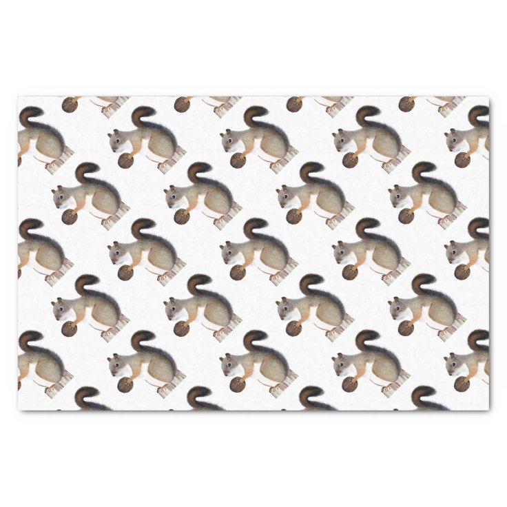 Boomer Squirrel Tissue Paper | Zazzle