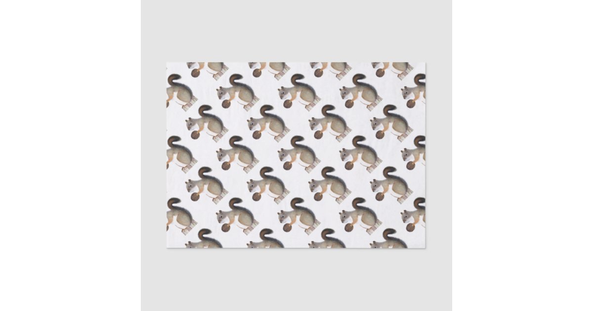 Boomer Squirrel Tissue Paper | Zazzle