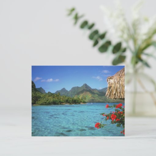 Bora Bora Island, French Polynesia Postcard | Zazzle