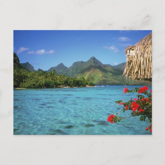 Bora Bora Island, French Polynesia Postcard | Zazzle.com