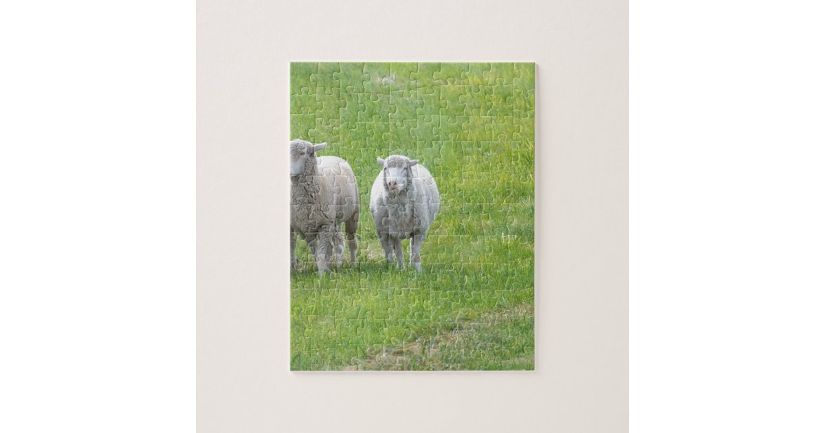 Border Collie and Ewe Jigsaw Puzzle | Zazzle