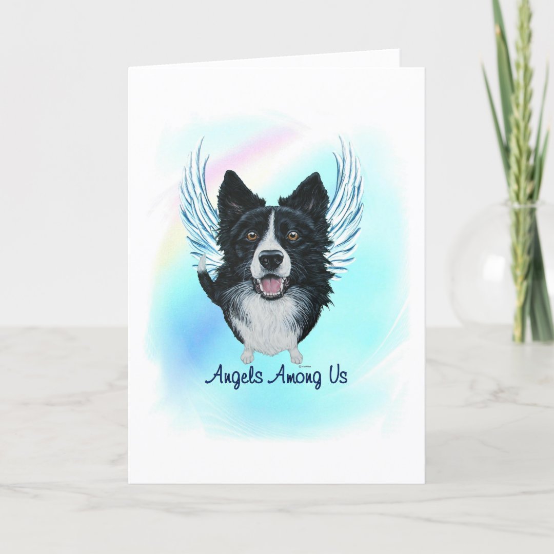 Border Collie Angel Dog Pet Loss Sympathy Card | Zazzle