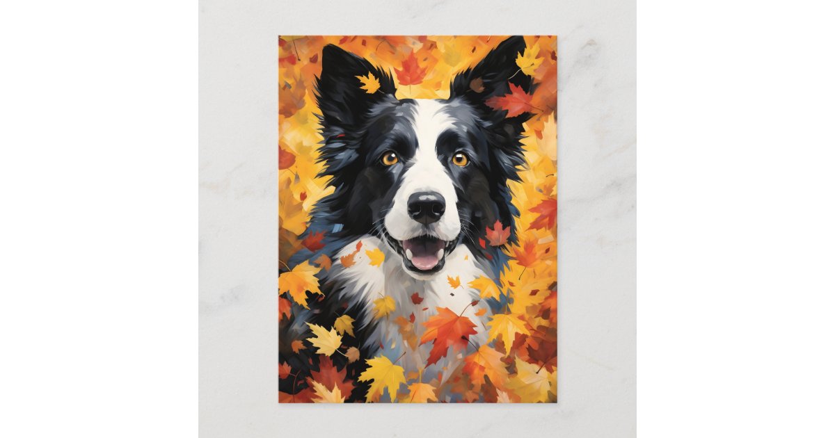 Border Collie Autumn Thanksgiving Postcard | Zazzle