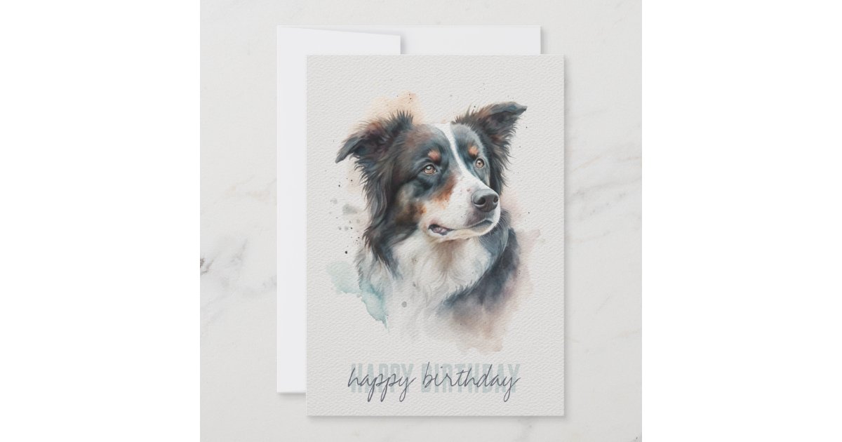 Border Collie Birthday Card | Zazzle