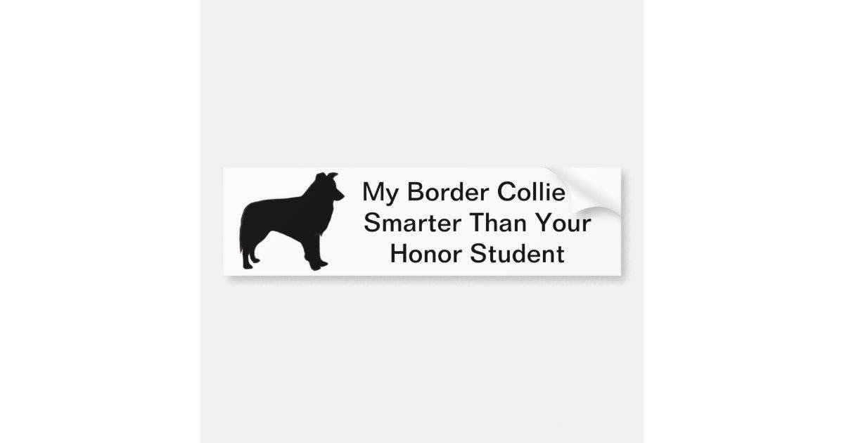 Border Collie Bumper Sticker | Zazzle