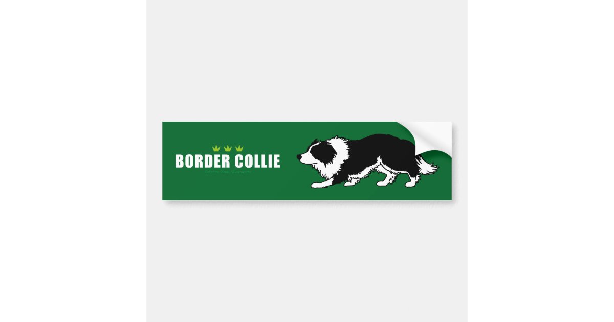 Border Collie Bumper Sticker | Zazzle