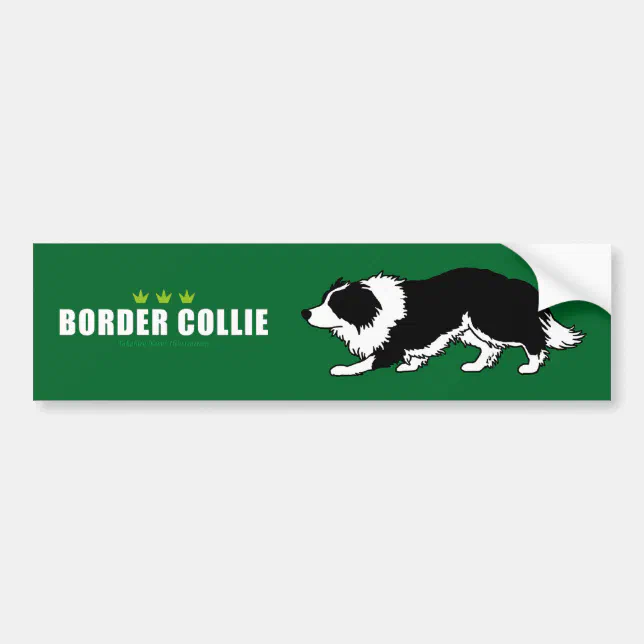 Border Collie Bumper Sticker | Zazzle
