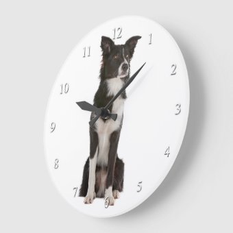 Border Collie Clock | Zazzle