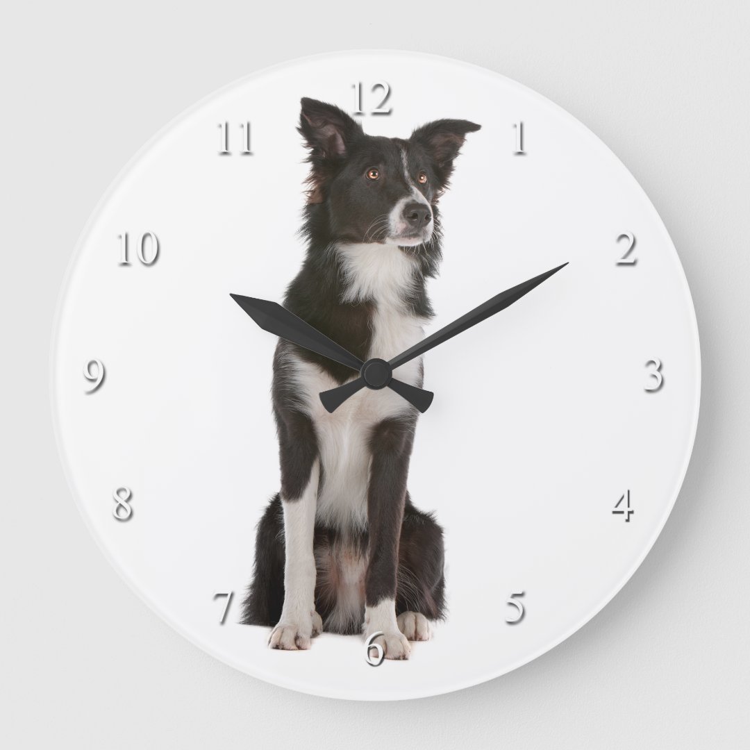 Border Collie Clock | Zazzle