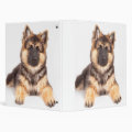 Border Collie German Shepherd Mix 3 Ring Binder | Zazzle