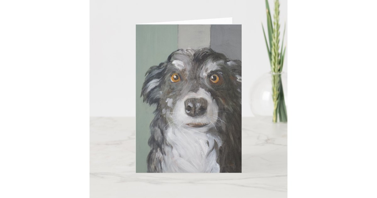 Border Collie Greeting Card | Zazzle