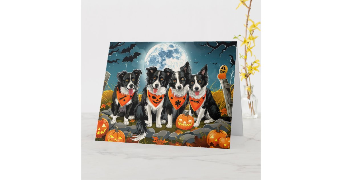 Border Collie Halloween Spooky Card | Zazzle