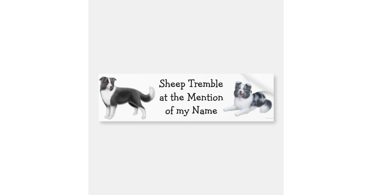 Border Collie Herding Bumper Sticker | Zazzle