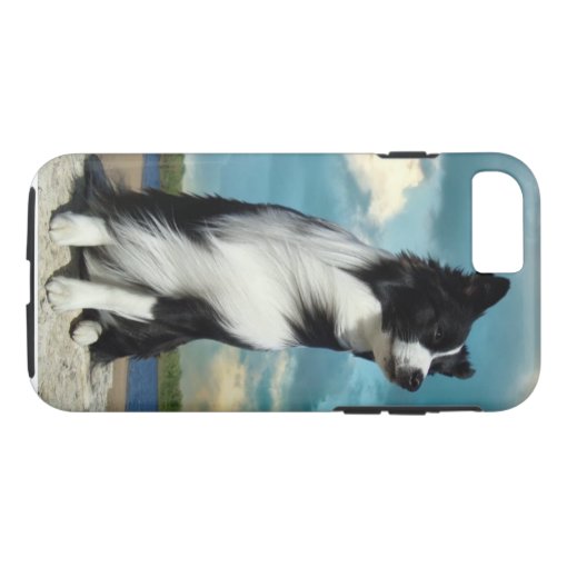 Border Collie iPhone 7 Case | Zazzle