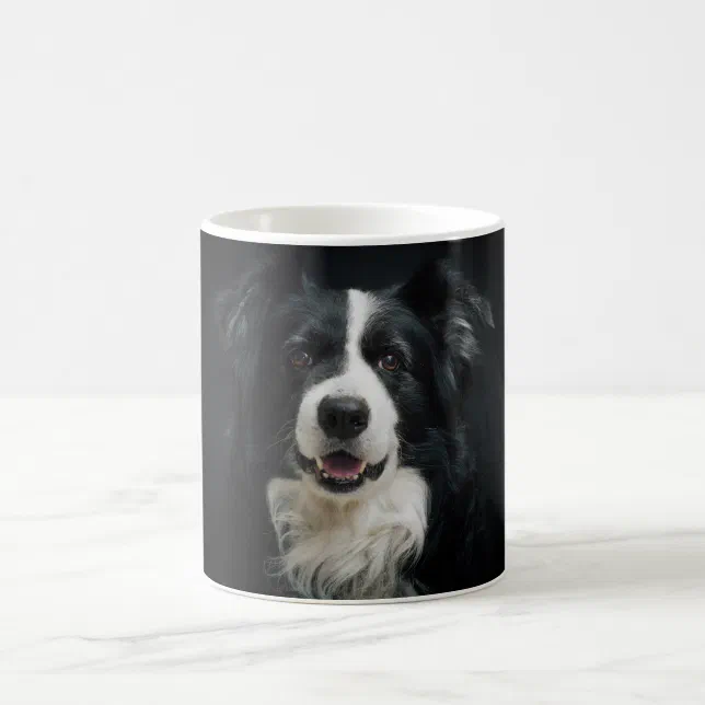 Border Collie or Your Own Photo Coffee Mug | Zazzle
