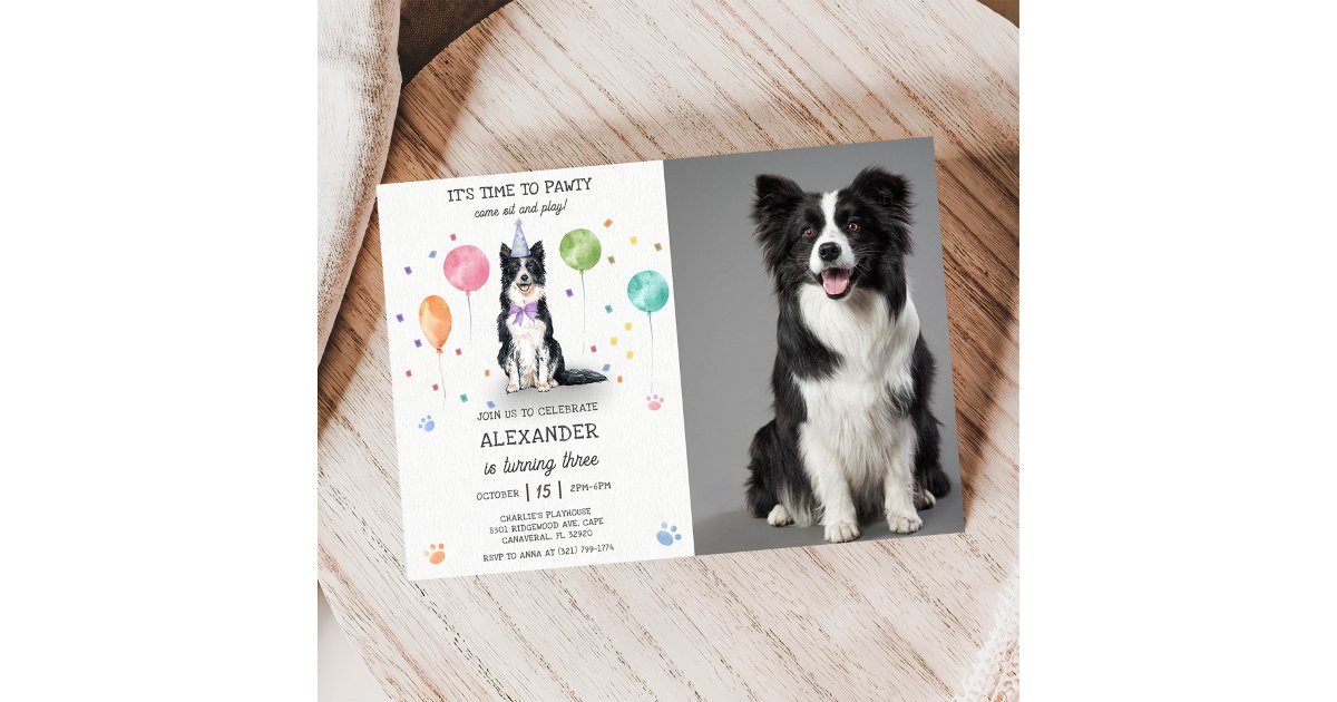 Border Collie Pawty Dog Puppy Birthday Blue Photo Invitation | Zazzle