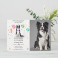Border Collie Pawty Dog Puppy Birthday Blue Photo Invitation | Zazzle