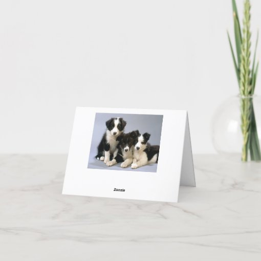 Border Collie Puppy Dog Blank Note Card | Zazzle