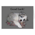 Good Luck - Dog on the Beach Card | Zazzle.com