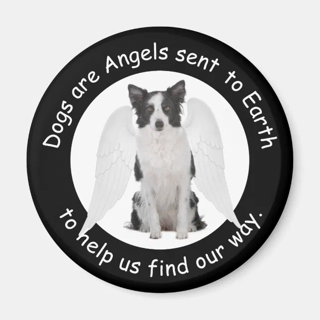 Border Collies Are Angels Magnet | Zazzle